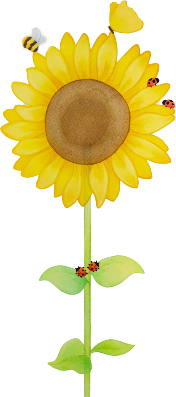 Jordan's Syndrome: Understanding and Supporting Your Child - BillyLids ...